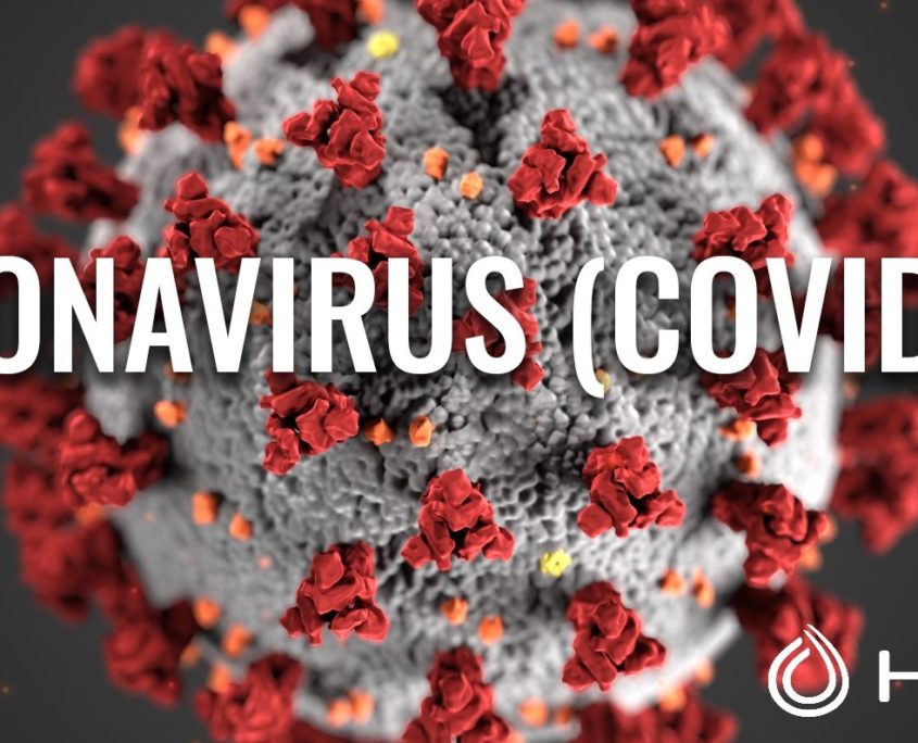 HemaXis Micro Blood Sampling | HemaXis Micro Blood Sampling